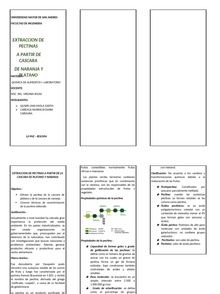 Triptico Pectinas | PDF