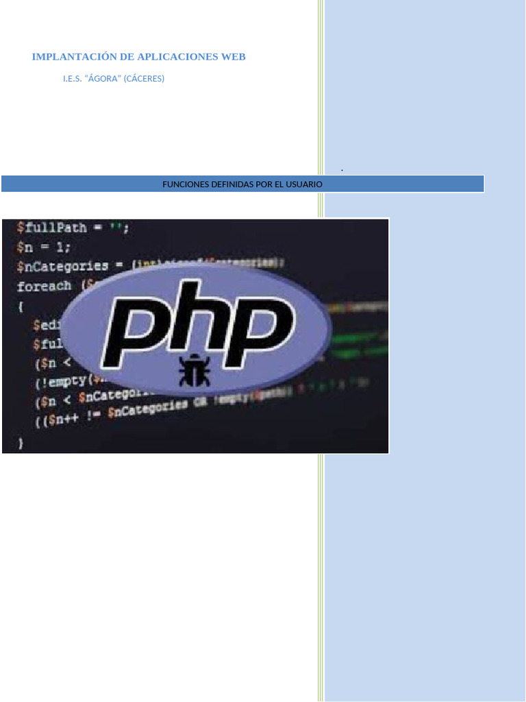 Funciones Definidas Por El Usuario | PDF