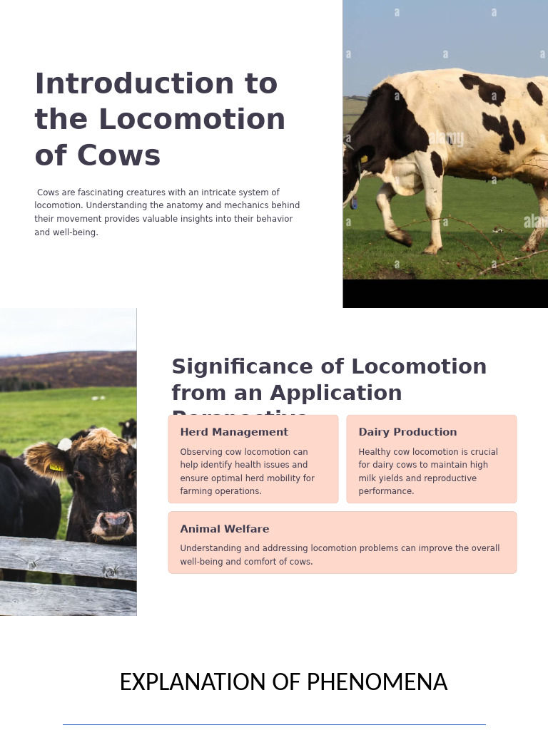 LOCOMOTION OF COW | PDF