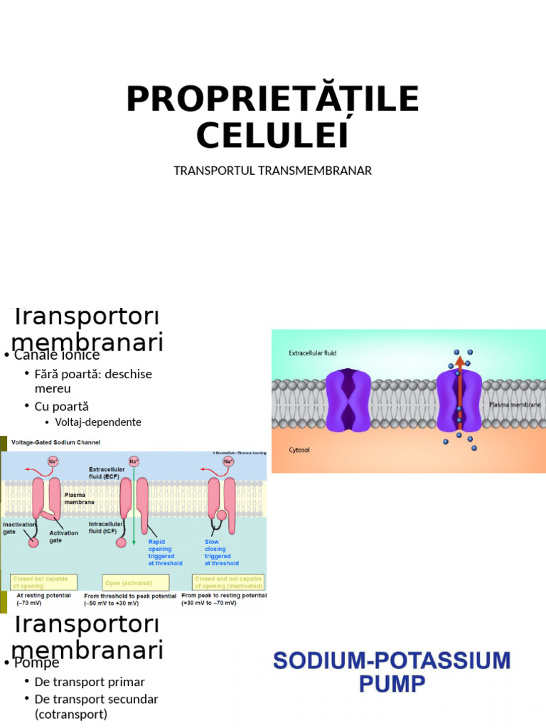 3i_proprietatile celulei- transport transmembranar | PDF