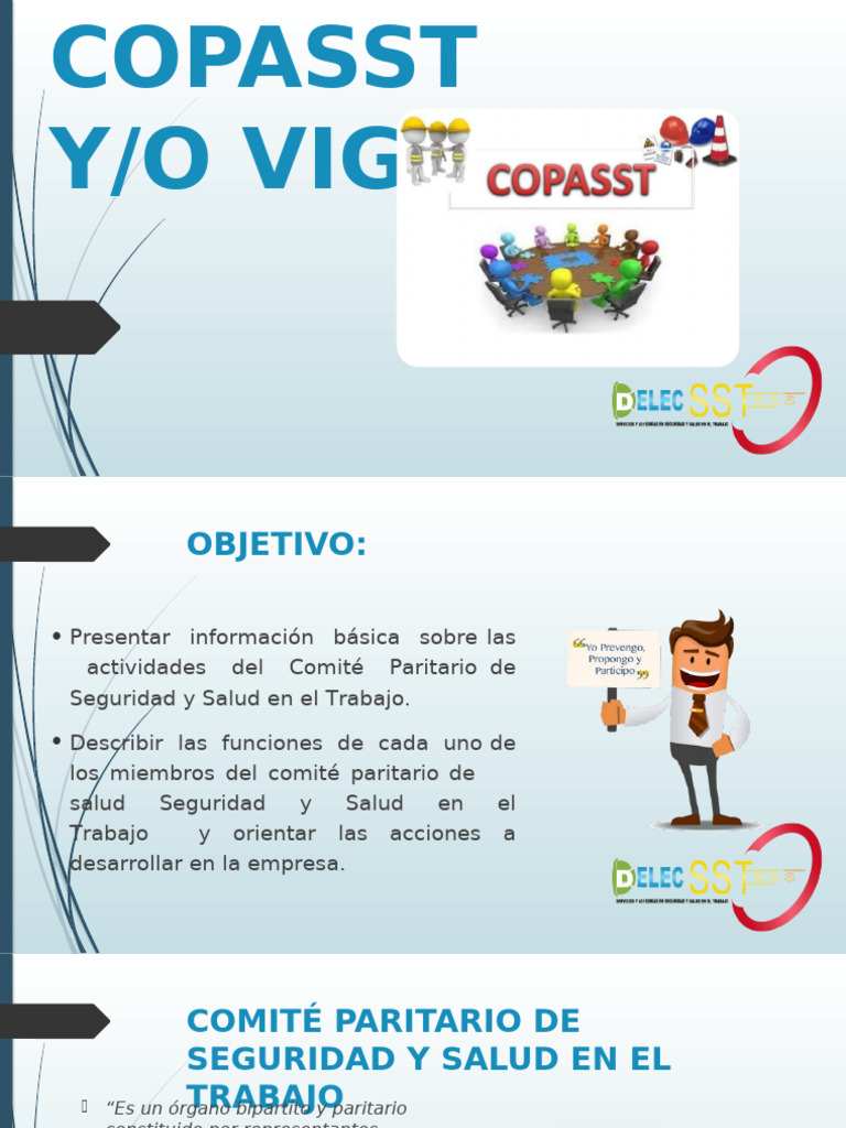 Copasst Capacitacion | PDF