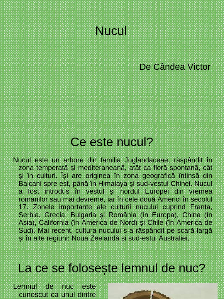 Arborele de Nuc | PDF