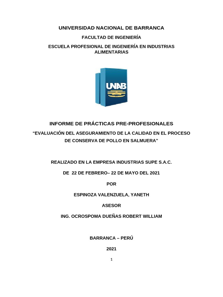 Informe de Práctica Preprofesional Espinoza | PDF