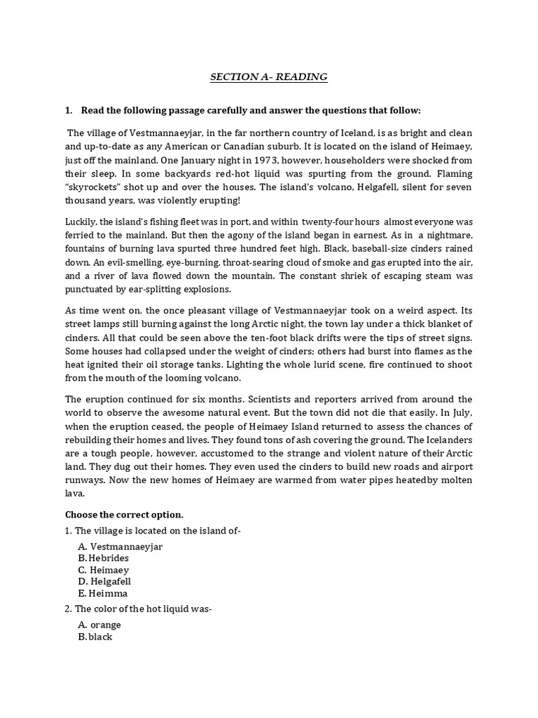 English Worksheets For Class 10-2 | PDF | Plural | Subject (Grammar)