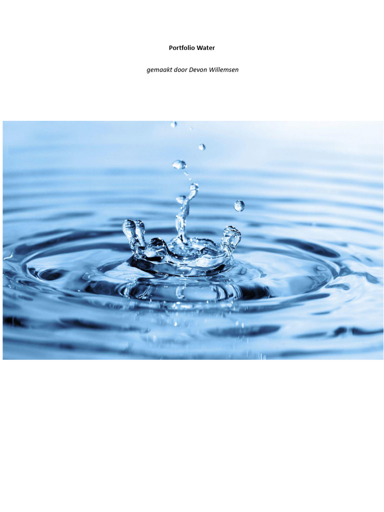 Nlt Portfolio Water Devon Willemsen Pdf