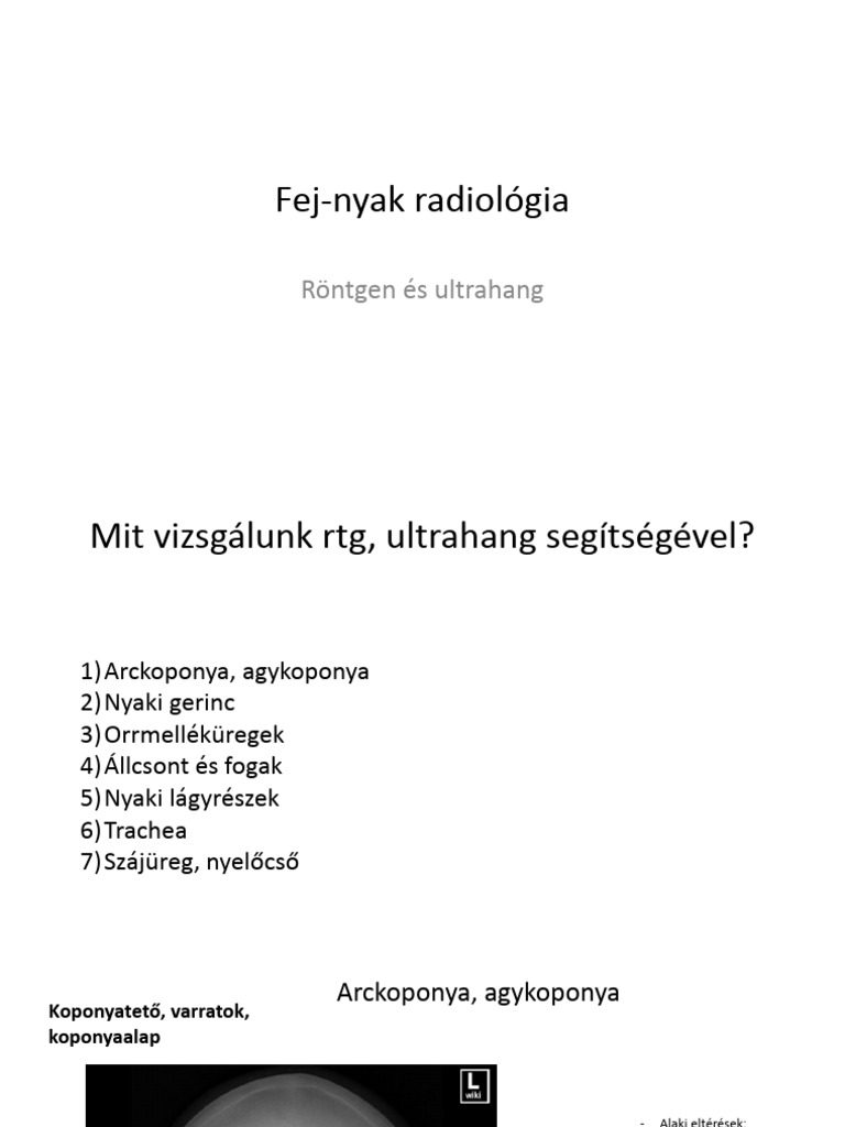 1 - Fej-Nyak Radológia | PDF