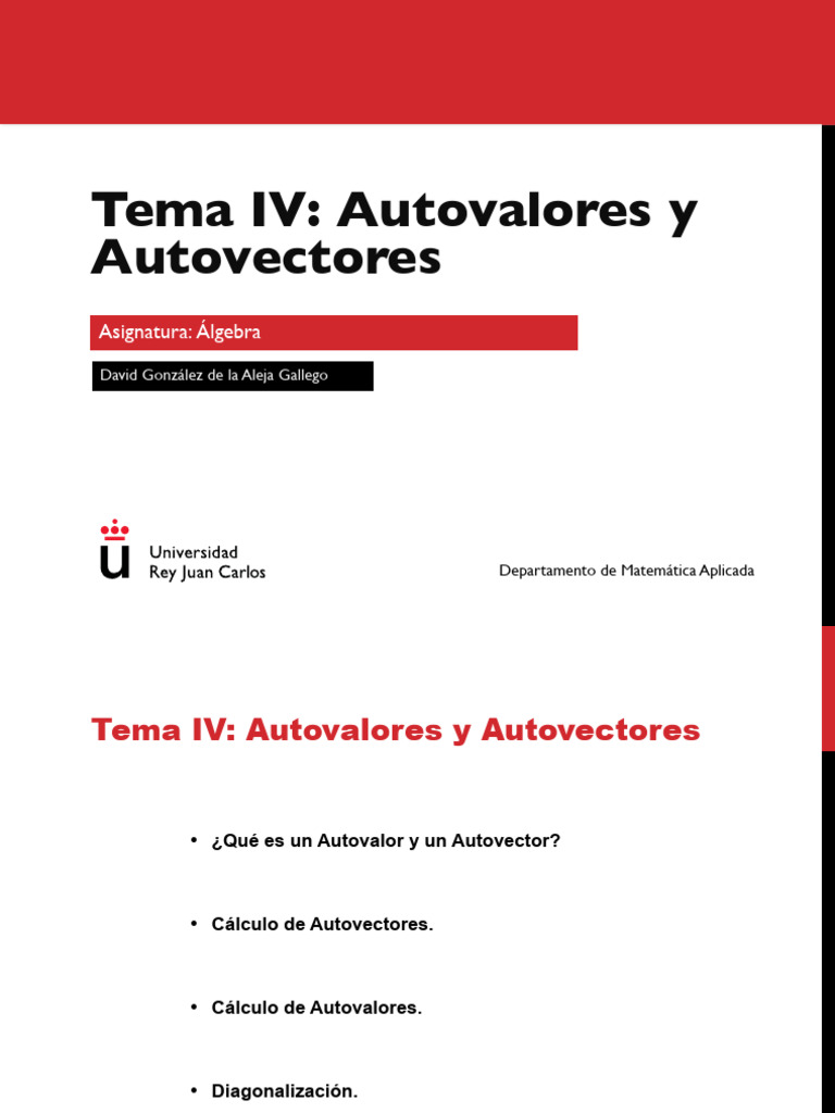 Álgebra - Tema 4 | PDF