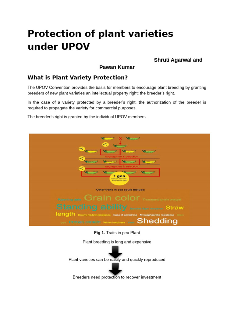 UPOV Convention: Plant Variety Protection | PDF | Plants | Botany