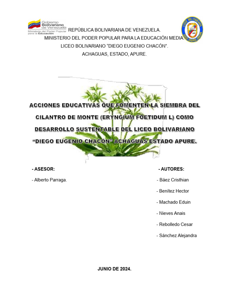 Cultivo de Cilantro de Monte - Proyecto | PDF