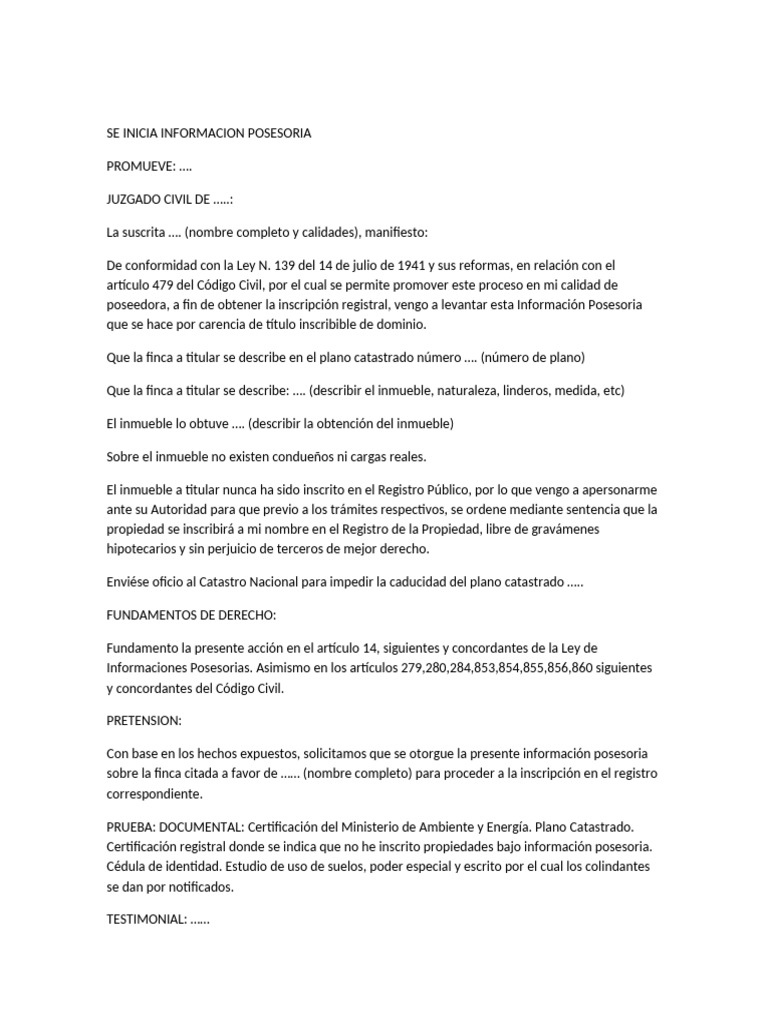 Machote Informacion Posesoria | PDF