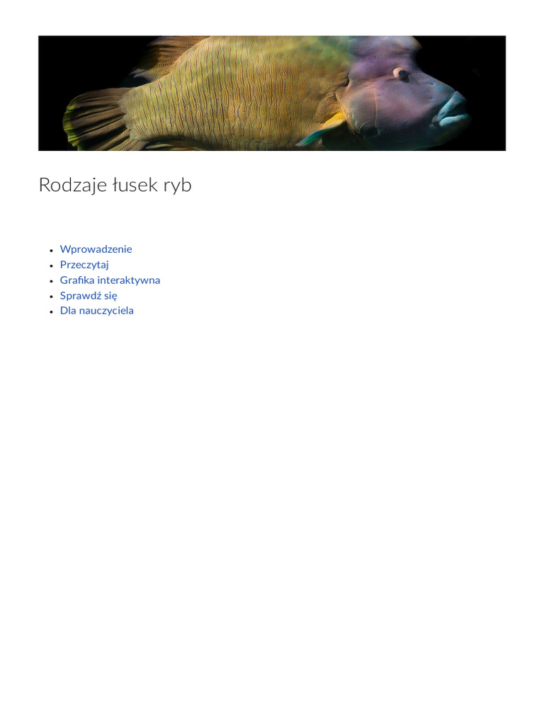 Rodzaje Lusek Ryb | PDF