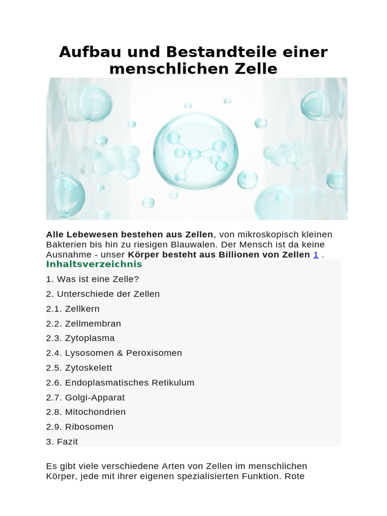 Aufbau Und Bestandteile Einer Menschlichen Zelle | PDF