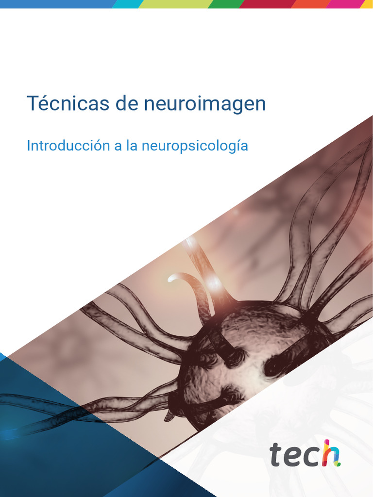 Técnicas de neuroimagen | PDF