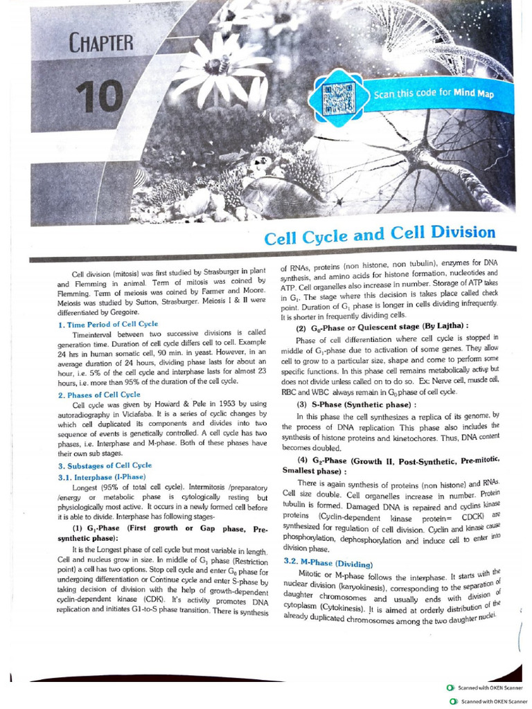 Errorless Biology Class 11 - Cell Division | PDF