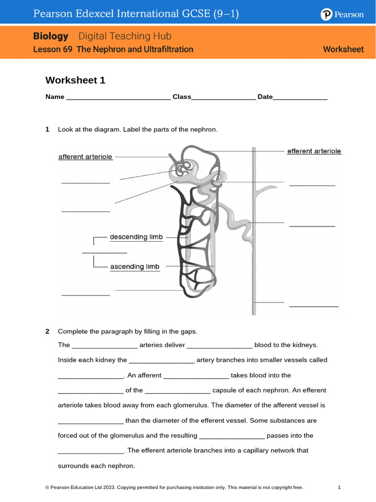 IG Biology Lesson69 Worksheet 1 | PDF