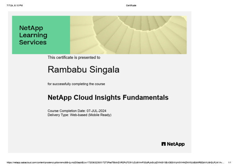 NetApp Cloud Insights Fundamentals | PDF