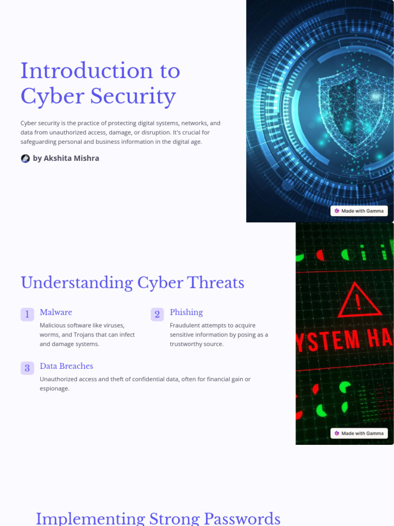 Introduction To Cyber Security | PDF