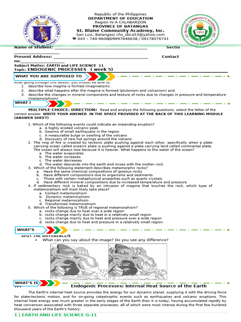 Week-5 Science Q1 | PDF