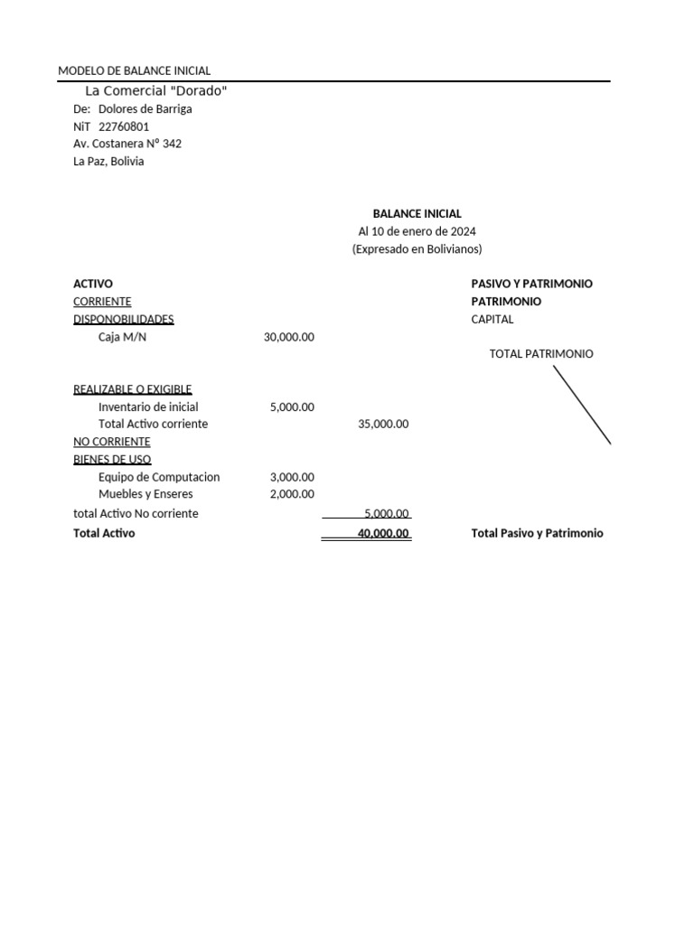 Balance Inicial | PDF