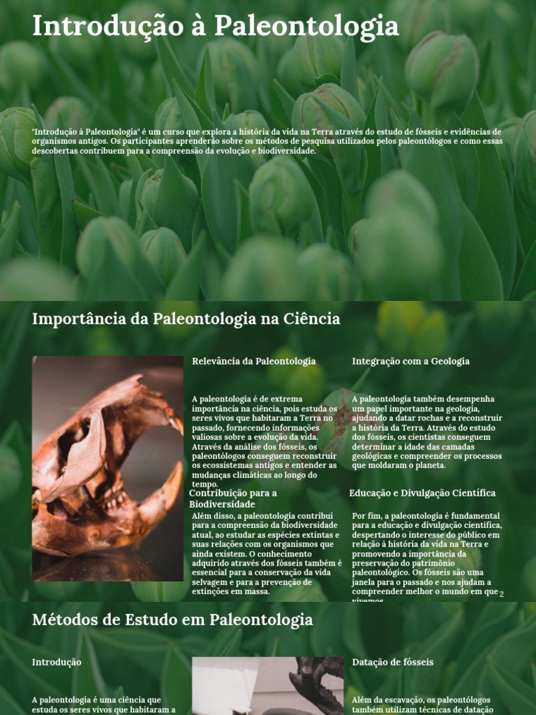 Doc-20240909-Wa0009. 20240909 224007 0000 | PDF