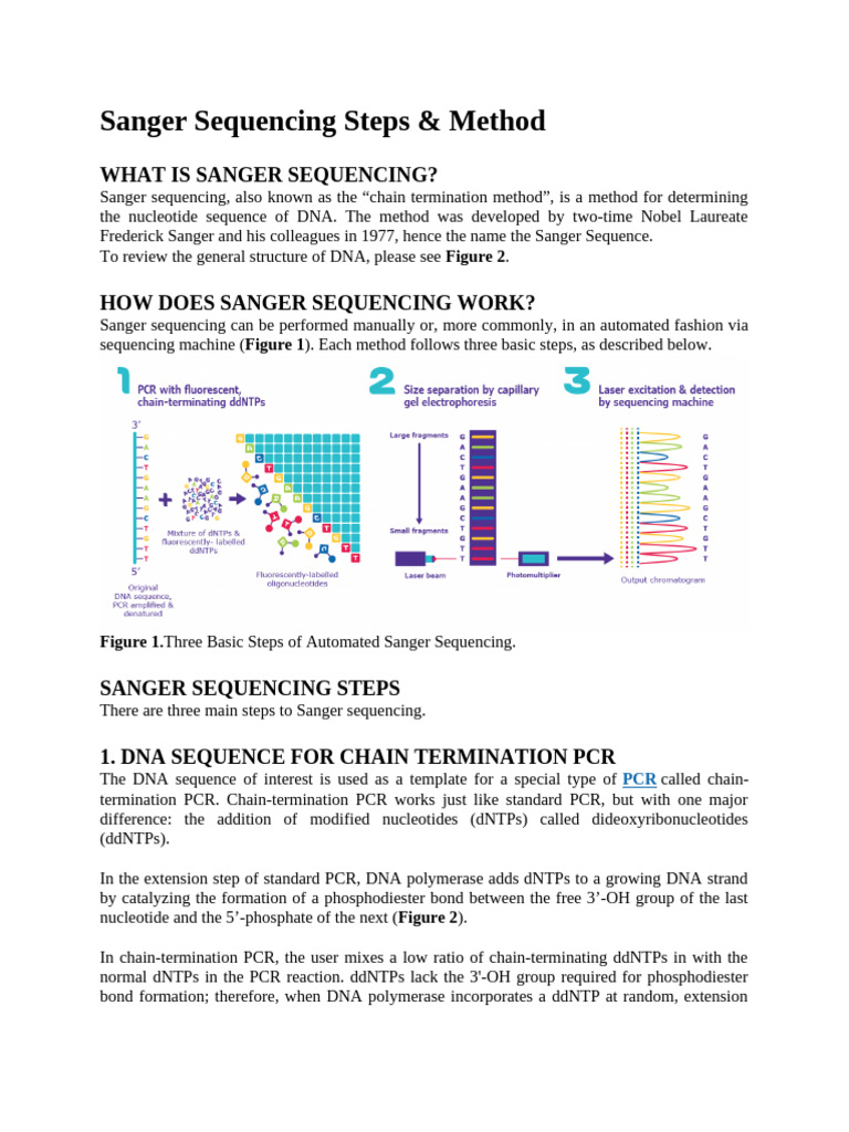 Sanger Sequencing | PDF