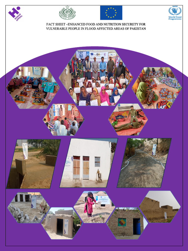 1-Fact Sheet - Flood Relief Dadu | PDF