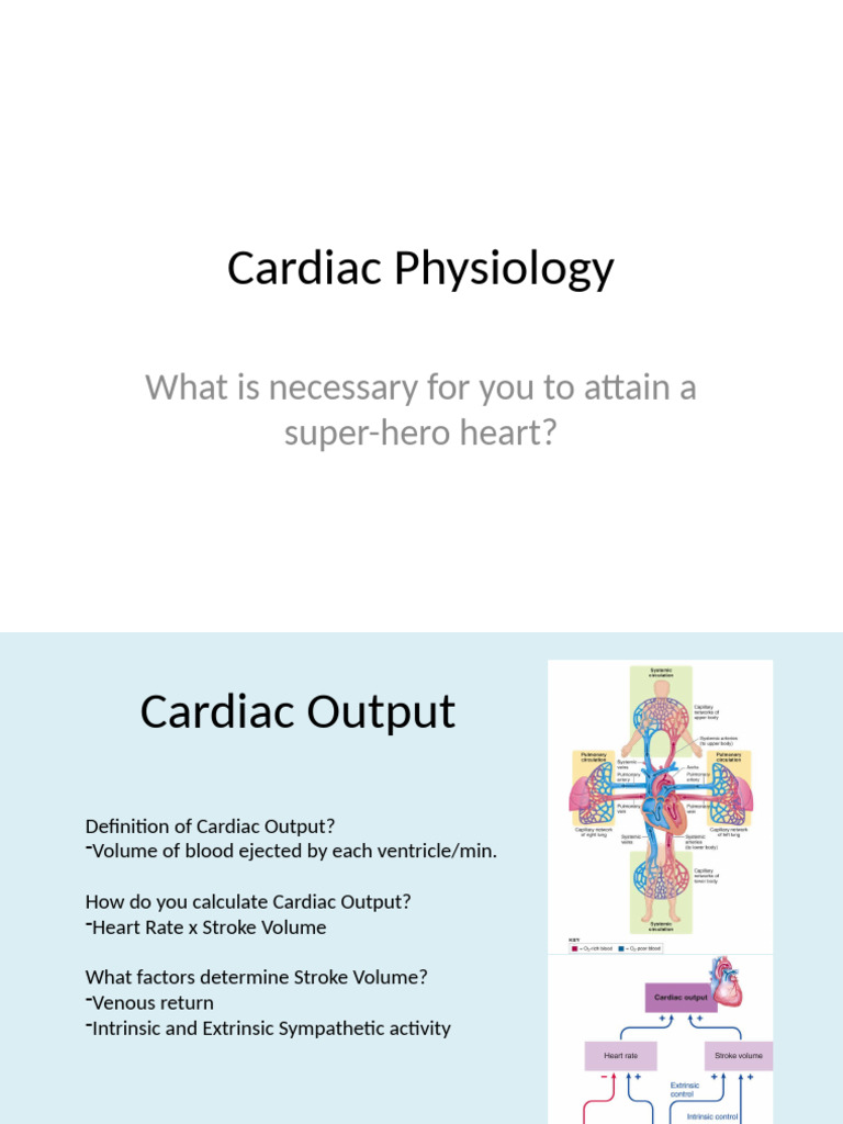 Cardiac Physiology-TAN1 | PDF