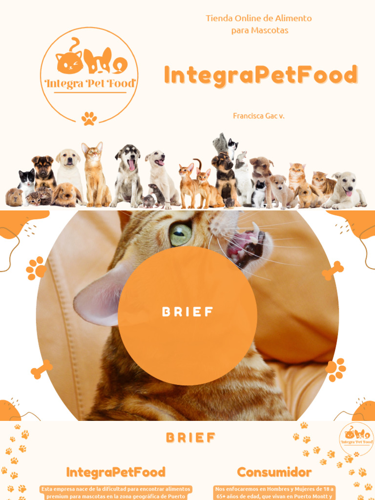 Primera Pre Entrega - Francisca Gac. Ejemplo | PDF