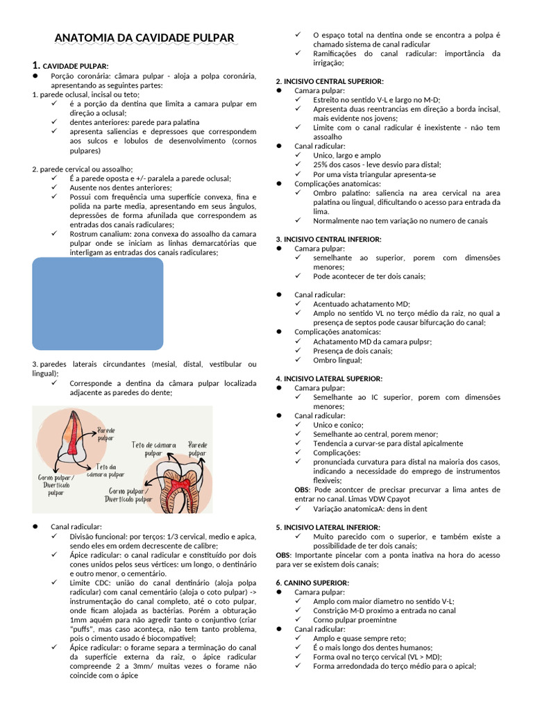 Anatomia Da Cavidade Pulpar | PDF
