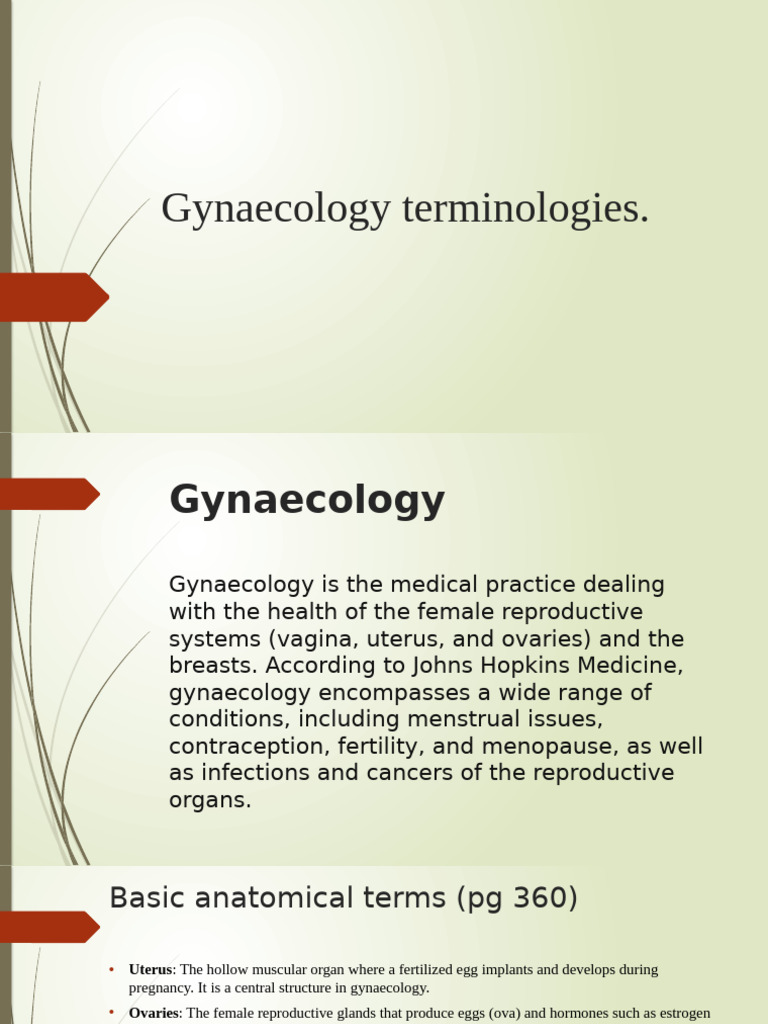 G&O 3 Basic Terminologies | PDF