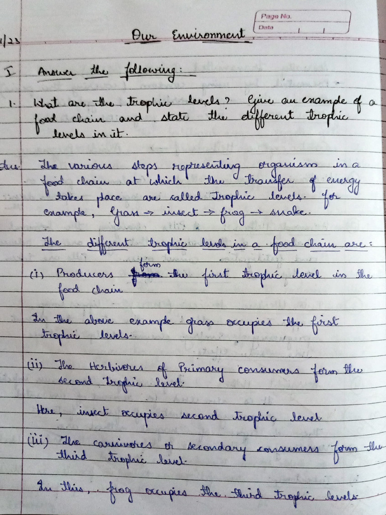 (Bio) Our Environment Notes | PDF