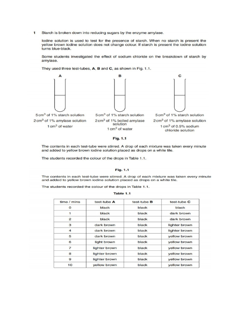Investigation Worksheet For Form 3 | PDF