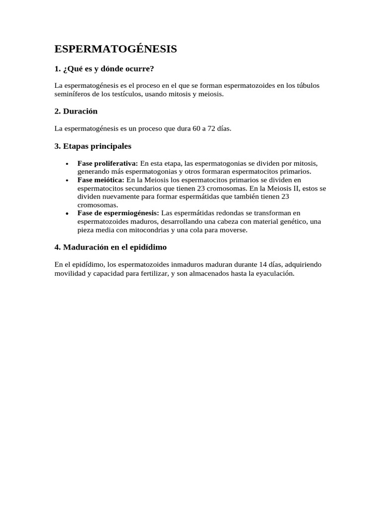 ESPERMATOGÉNESIS | PDF