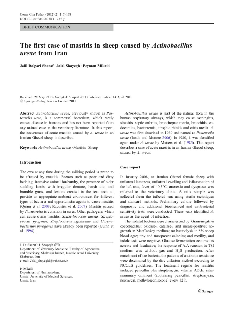 28 The First Case of Mastitis in Sheep Caused by Actinobacillus | PDF