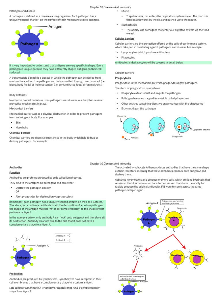Chapter 10 Diseases And Immunity | PDF