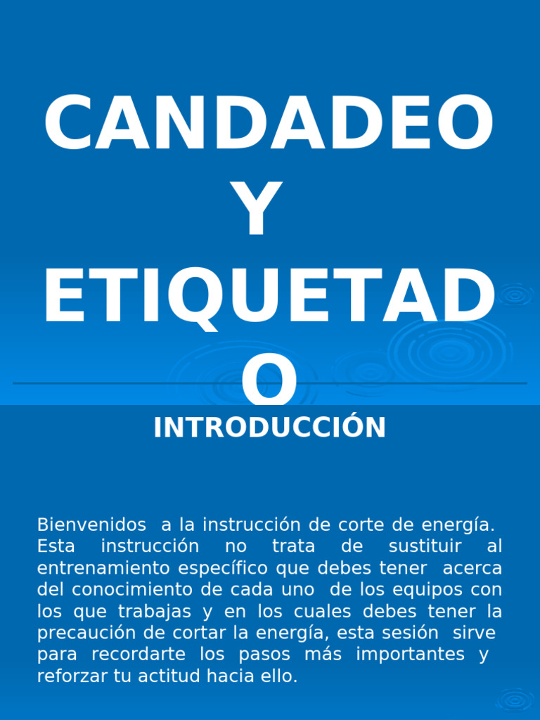 Candadeo y Etiquetado | PDF