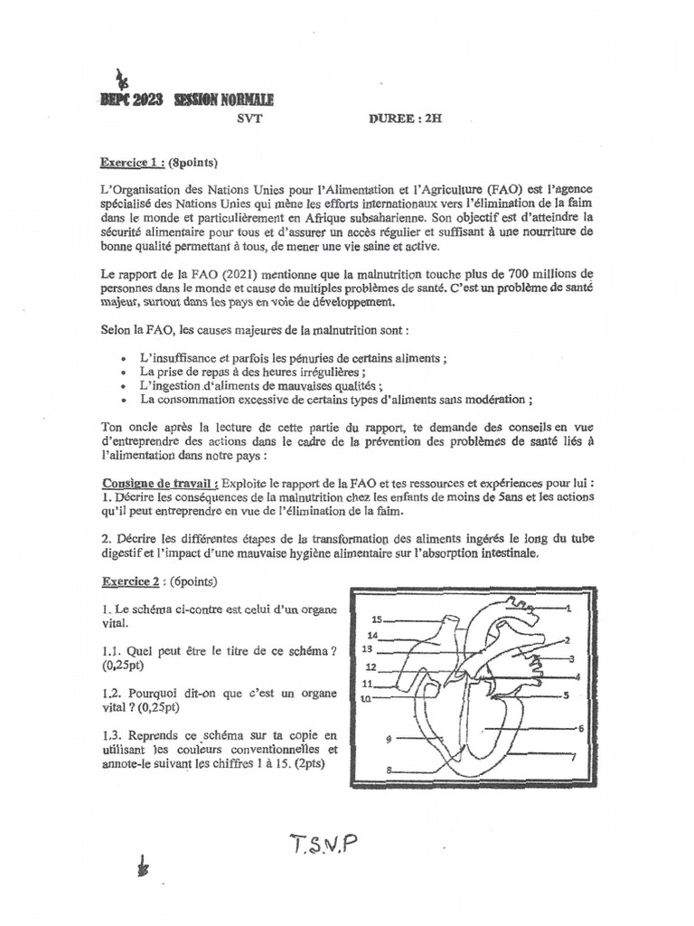 Epreuves Bepc 2023 | PDF
