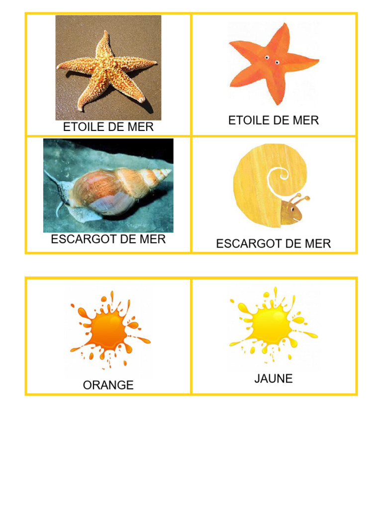 Cartes Voc Module 2 Petit Poisson Blanc | PDF