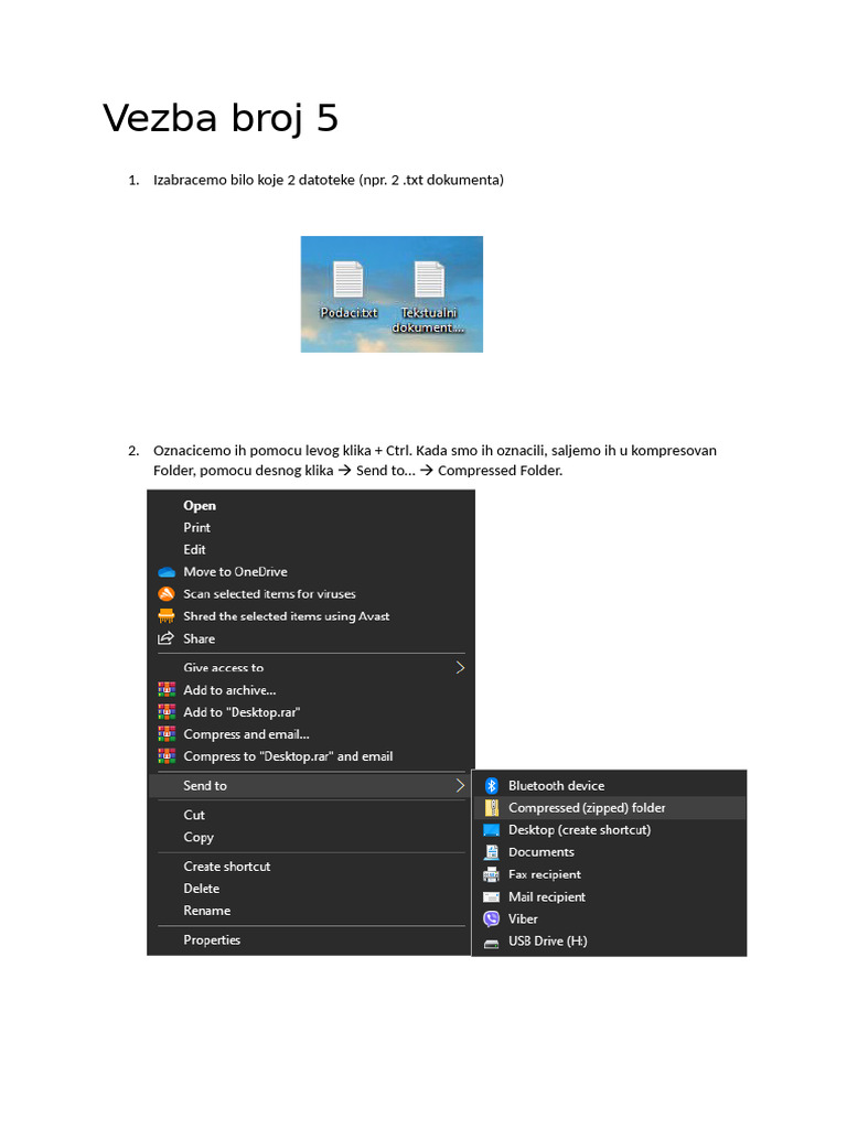 Pavle - Vezba Broj 5 | PDF