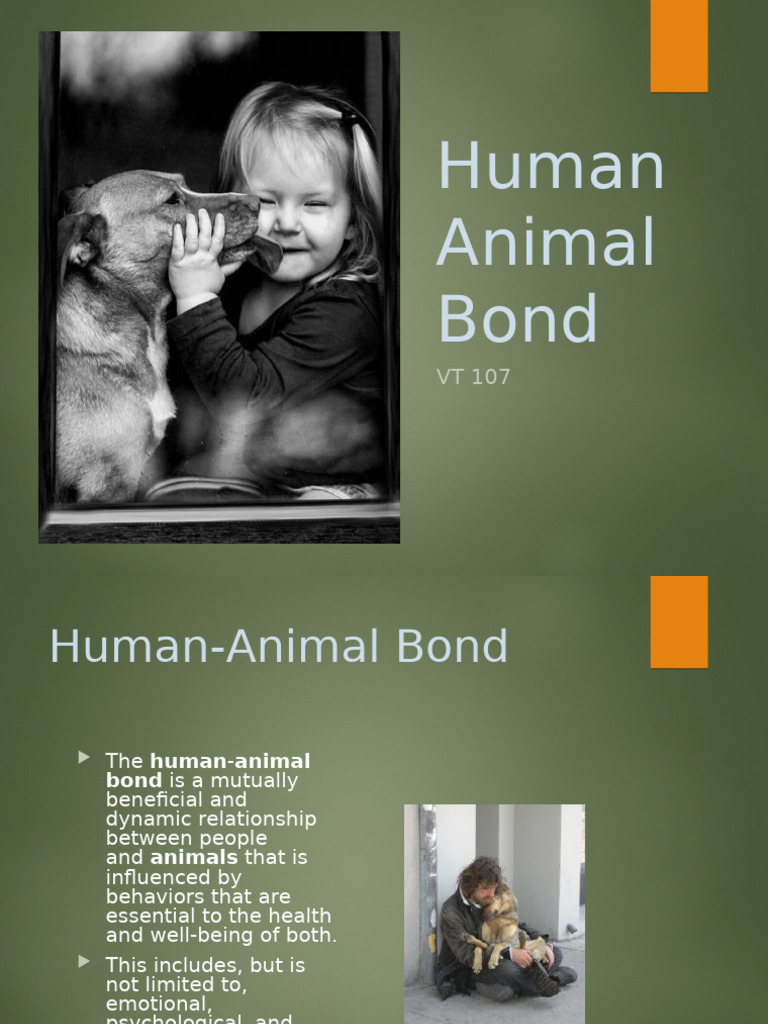 Human-Animal Bond Lecture | PDF