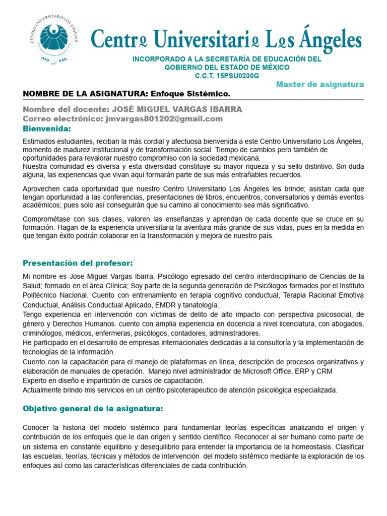 Master Enfoque - Sistemico 7 TM - LPSI | PDF