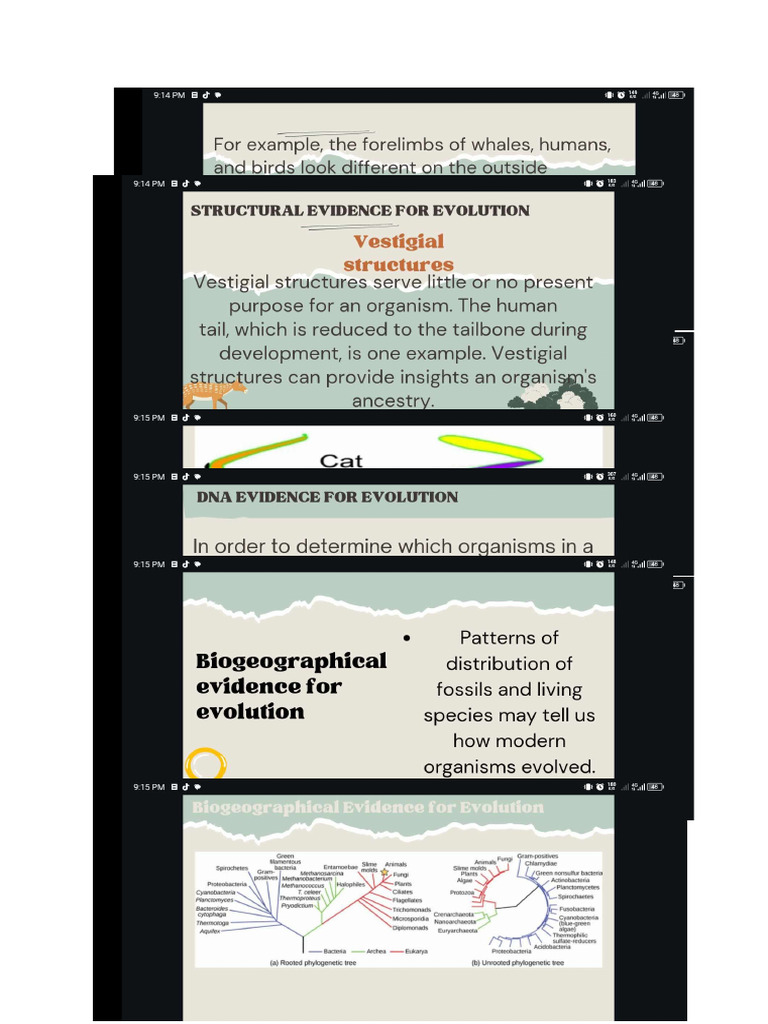 Gen Bio 6 Reviewer | PDF