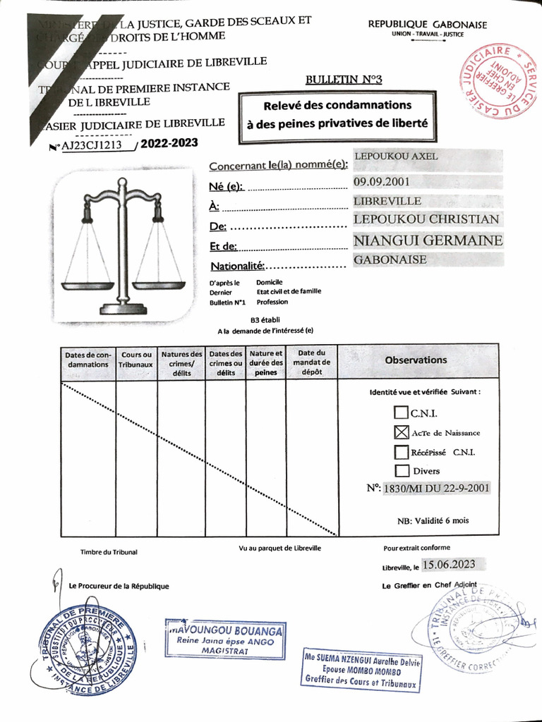 Casier Judiciaire | PDF