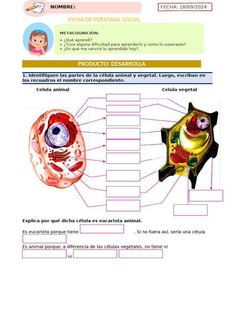 FICHA MIERC 18 - 09 CYT Clasificació de Los Seres Vivos | PDF