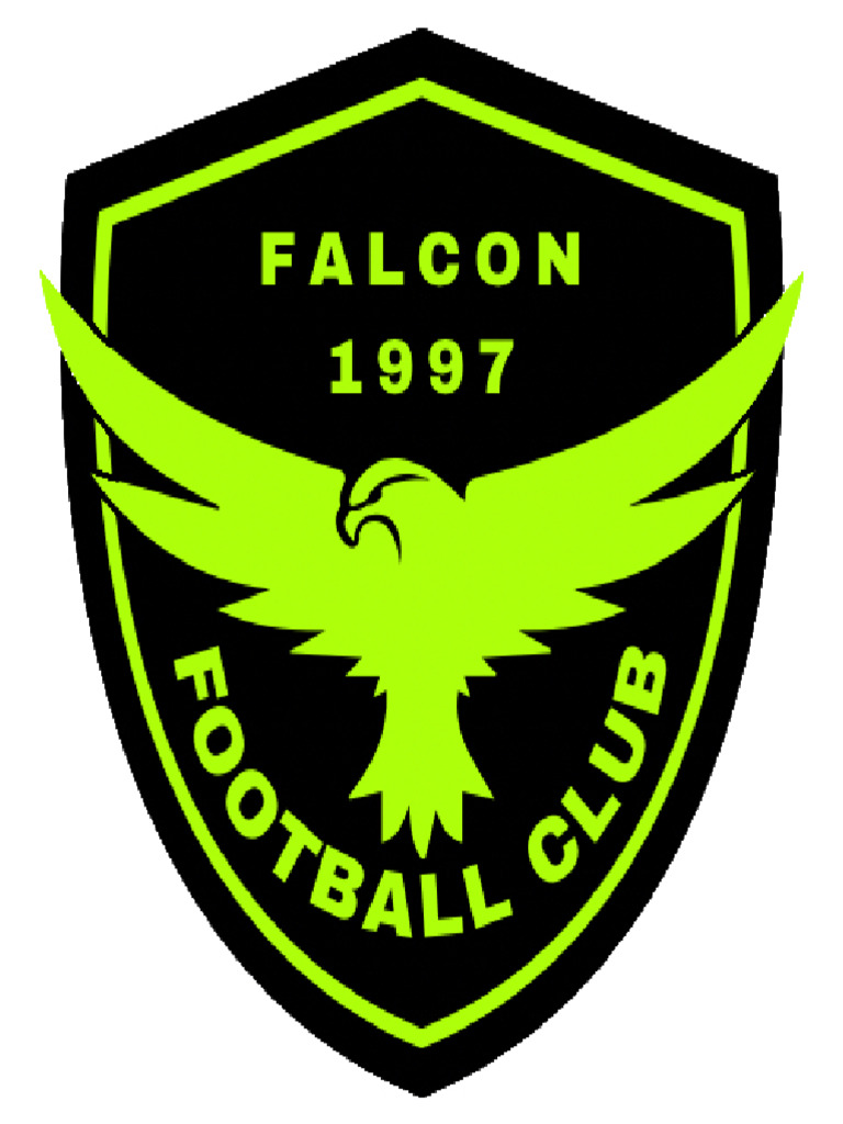 Falcon FC | PDF
