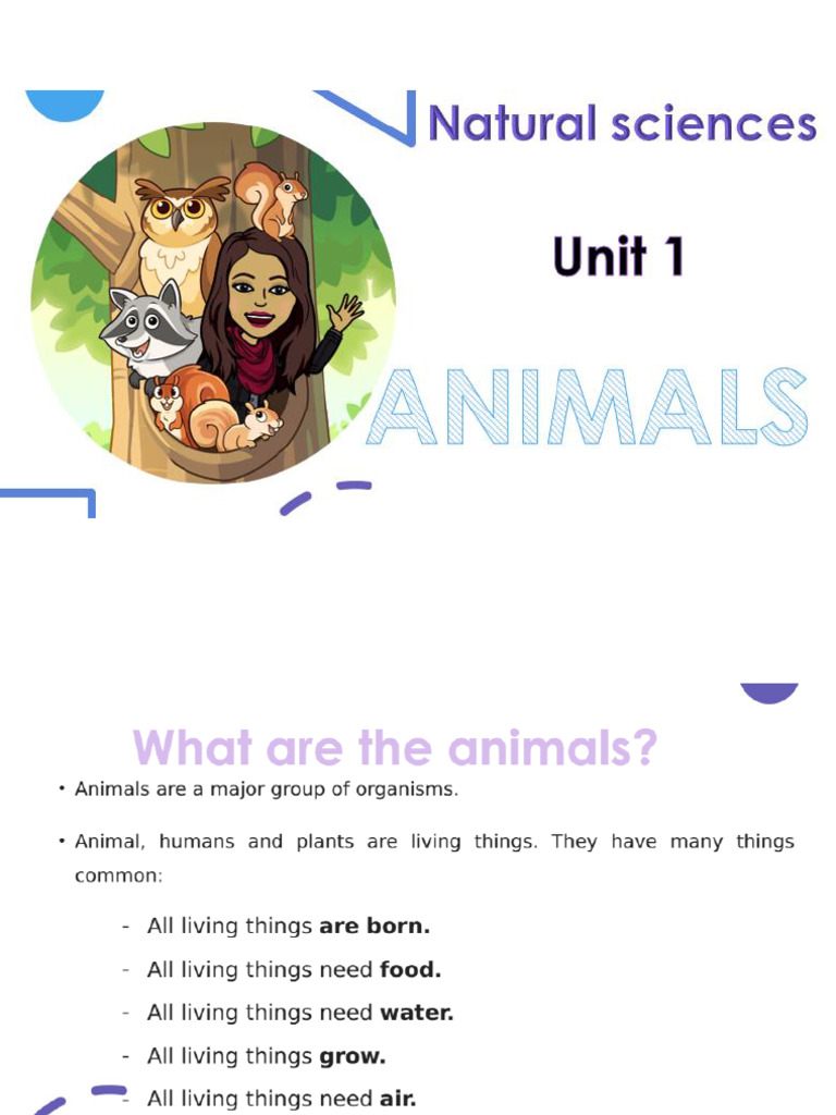 Unit 1 Animals summary | PDF