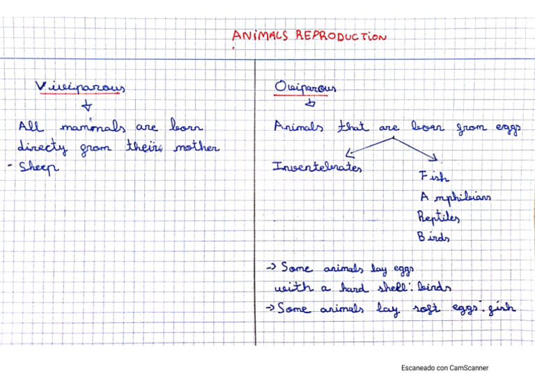 Animal Reproduction | PDF