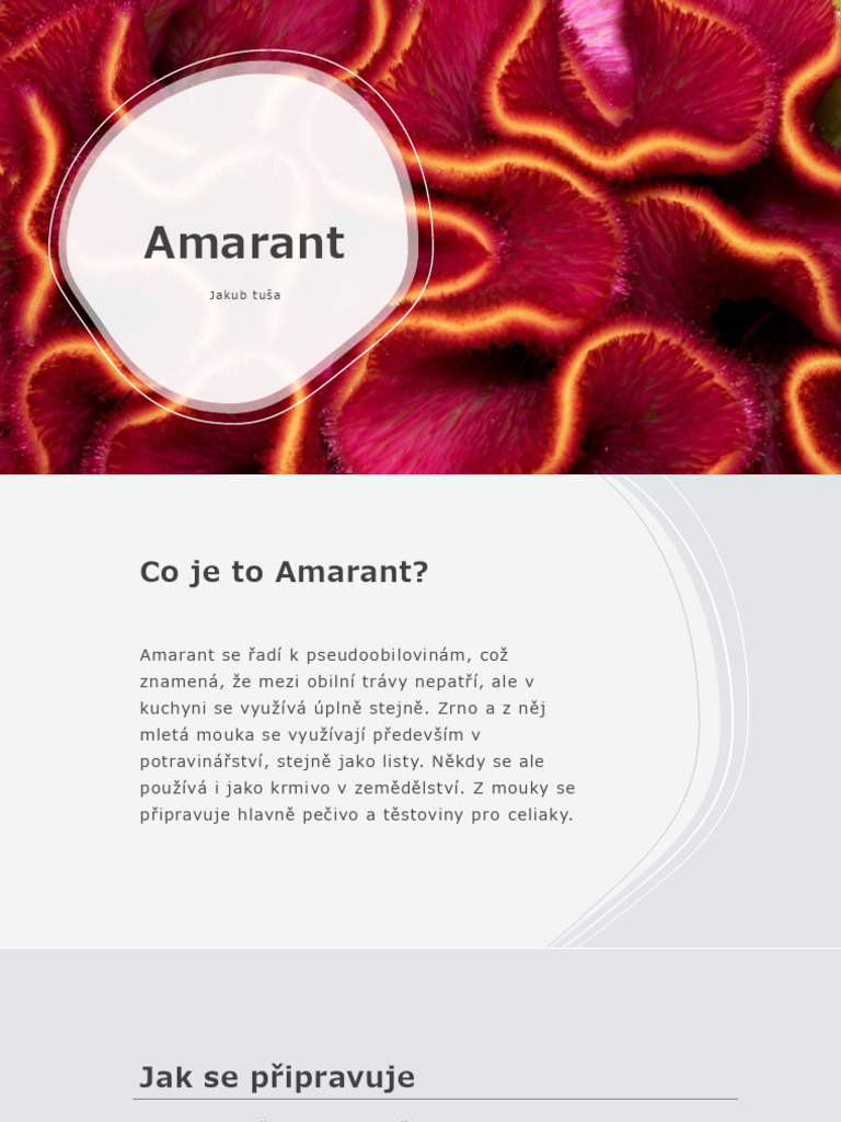 Amarant Prezentace | PDF