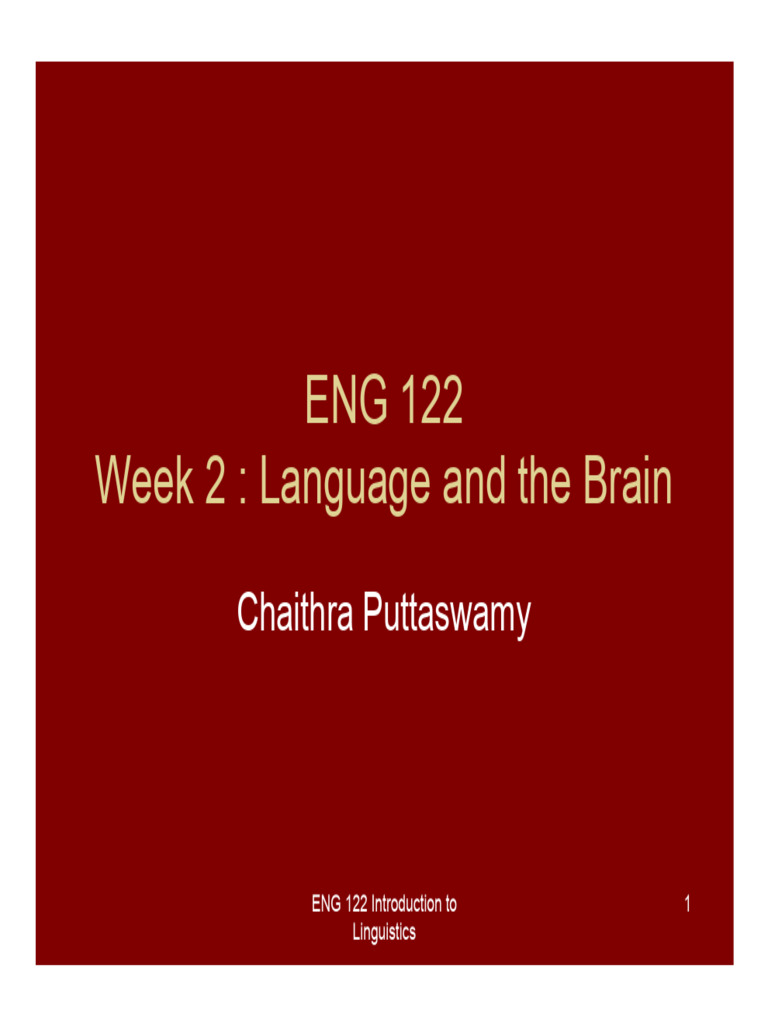 ENG 122 - Week2 - Slides | PDF | Lateralization Of Brain Function | Cerebral Hemisphere