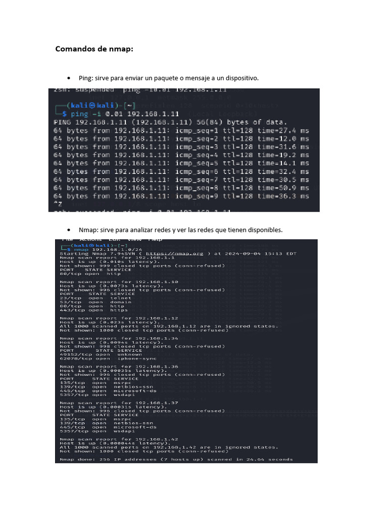 Comandos de Nmap | PDF